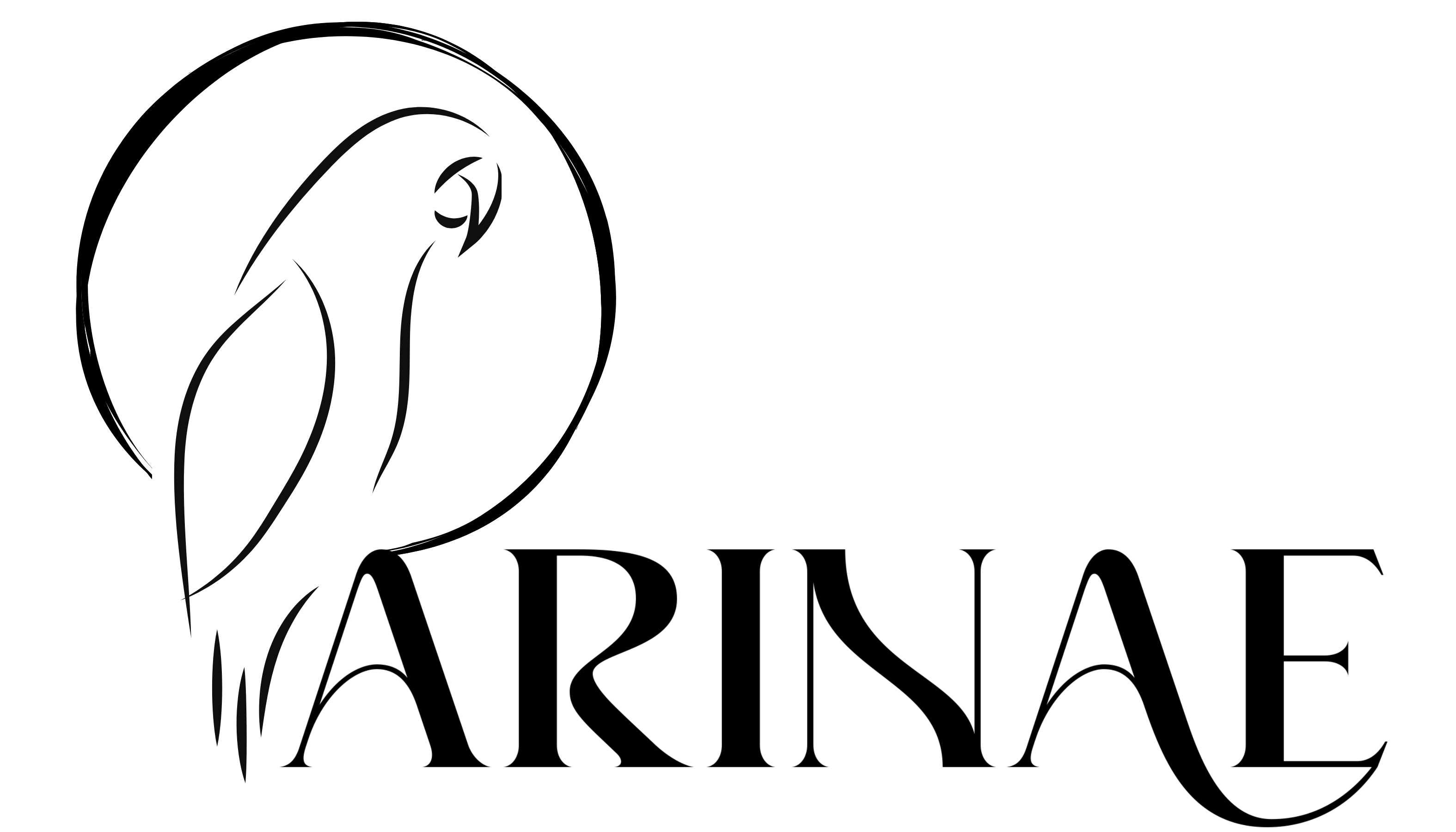 ARINAE | Women's Clothing Boutqiue